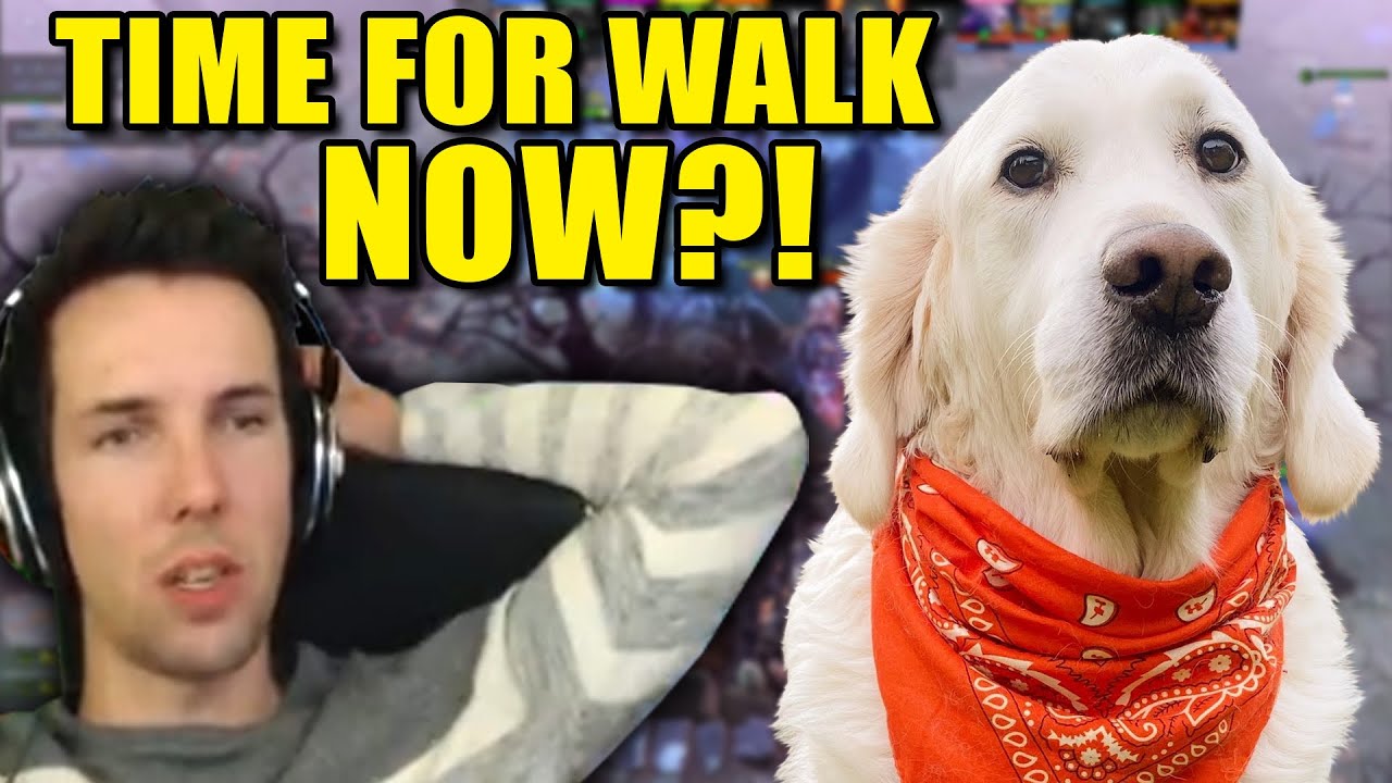 GRUBBY So chill DOGGO thinks the STREAM IS DONE - YouTube