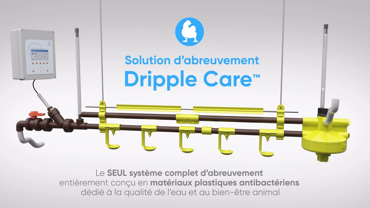 Dripple Care®, une solution d'abreuvement unique en matériaux ...