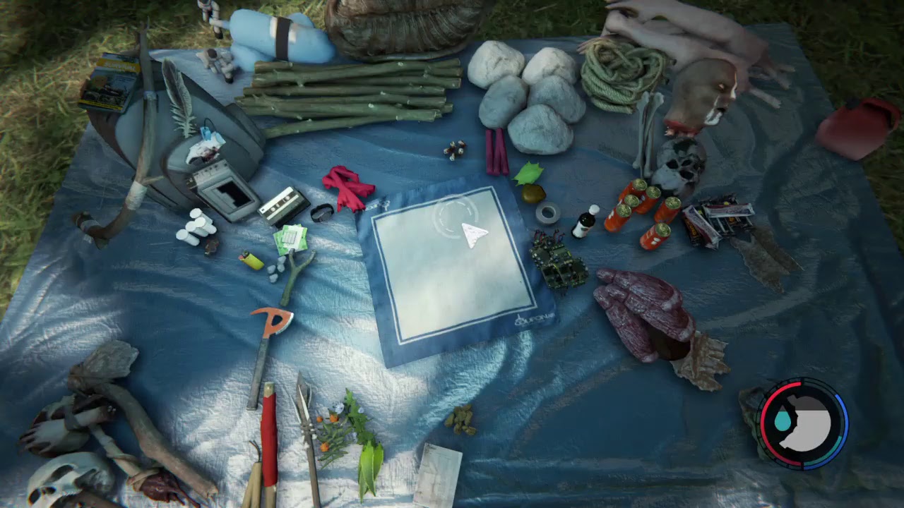 The Forest: Surviving the Cannibals - YouTube