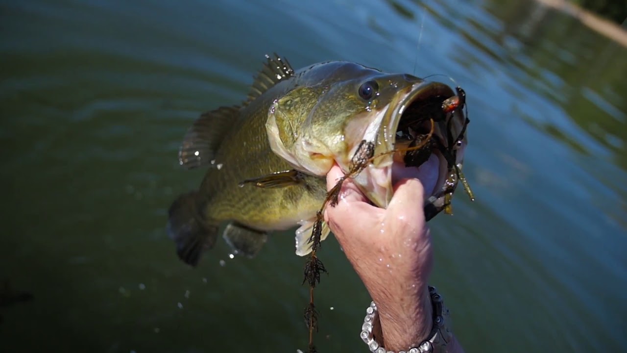 Swim Jigging the Jackall Lures Chunk Craw - Dave Mercer's Facts of ...