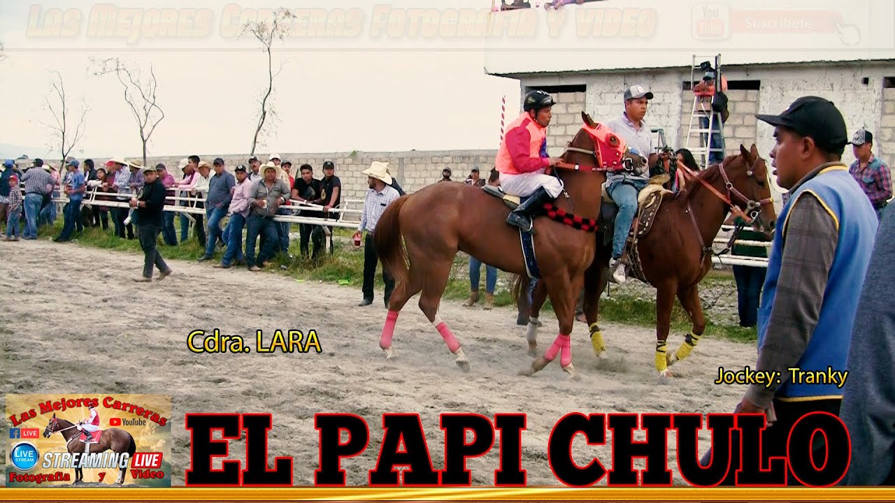23.-El Papi Chulo vs El Covid - YouTube