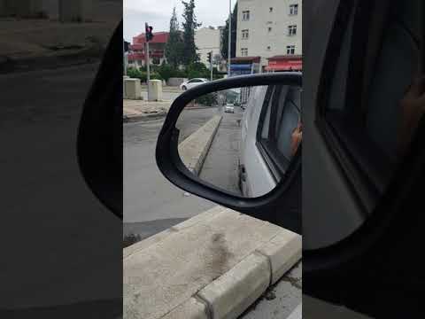 ufaktan bir başını okşa dım sanki sahibi benmişim gibi peşimi bırakmadı