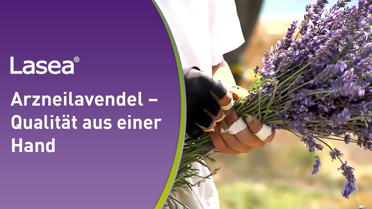 Lasea® - zuverlässige Qualität vom Feld bis in die Kapsel - YouTube