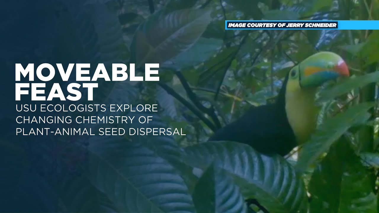 Animal Seed Dispersal