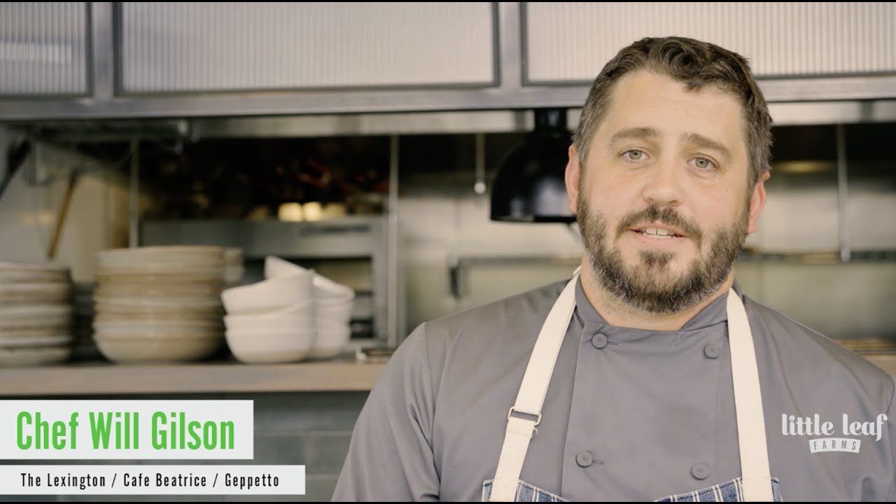 Chef Will Gilson of Cafe Beatrice, The Lexington, Puritan and Co. - YouTube