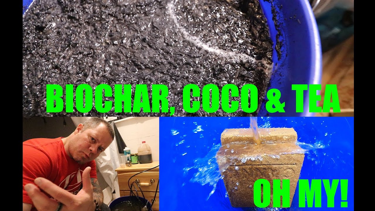 Biochar, Coco, and Tea - Oh my! Growing Cannabis Organically - Pt. 1 ...