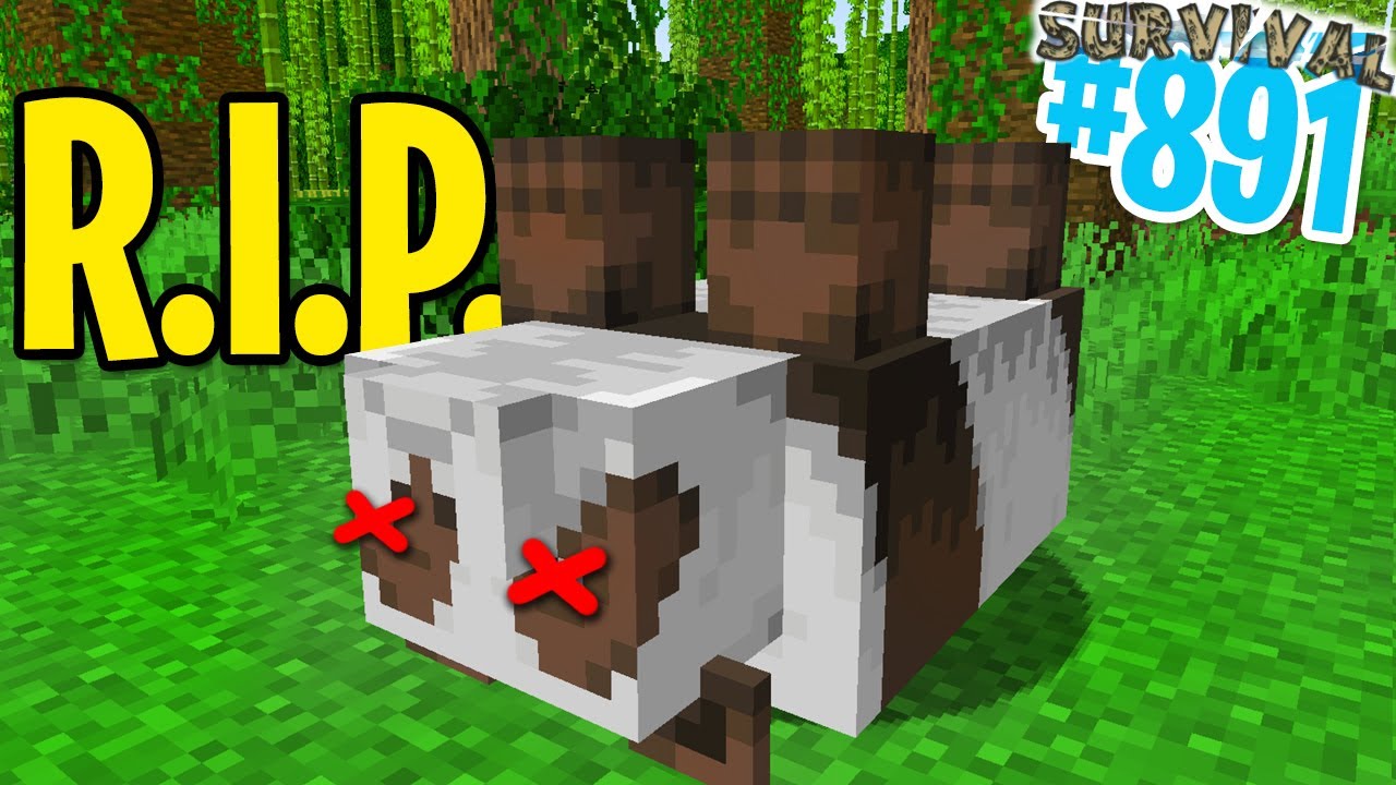 ADDIO al MIO MOB PIÙ RARO... - Minecraft ITA SURVIVAL #891 - YouTube