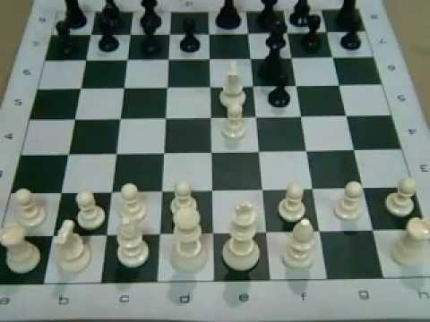 002 - Introduction to Greco Counter Gambit (Latvian Gambit) with P-QKt4 ...