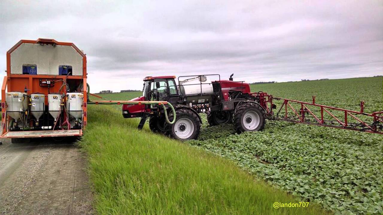 Spraying in Canola - YouTube