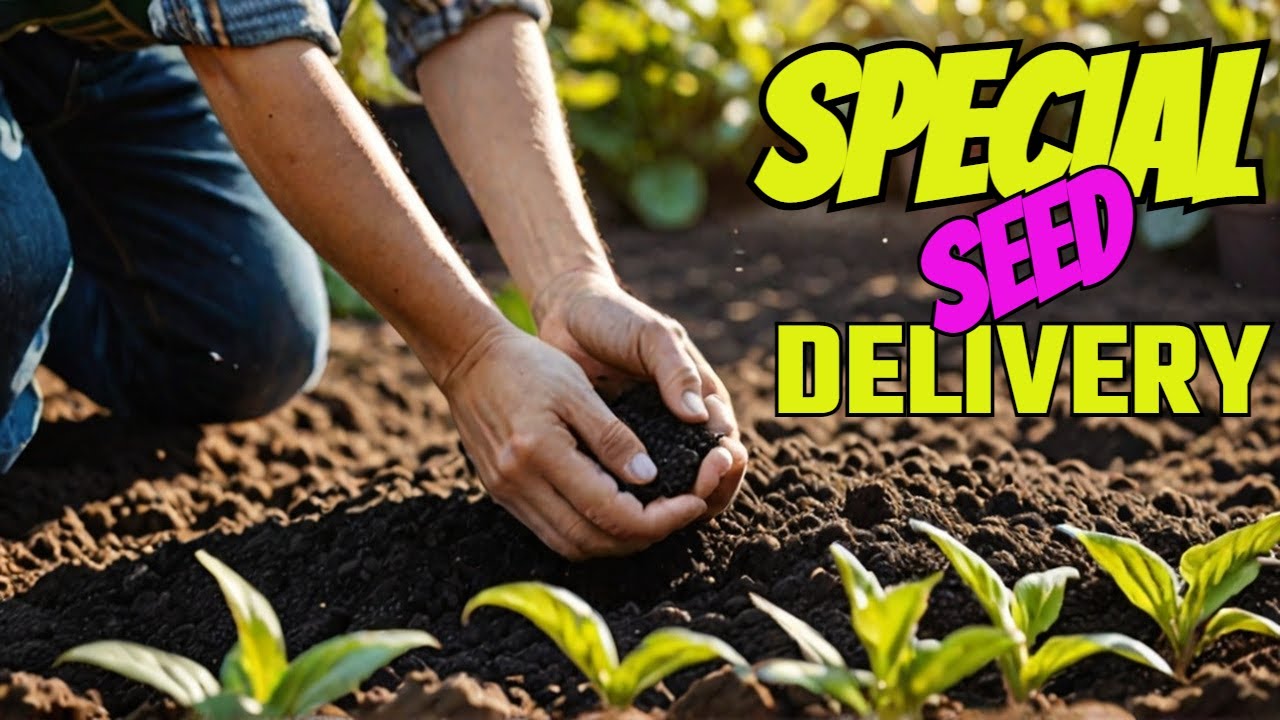 HEIRLOOM SEED DELIVERY & GIANT ONION GROW CHALLENGE #313 ON 23rd 2024 ...