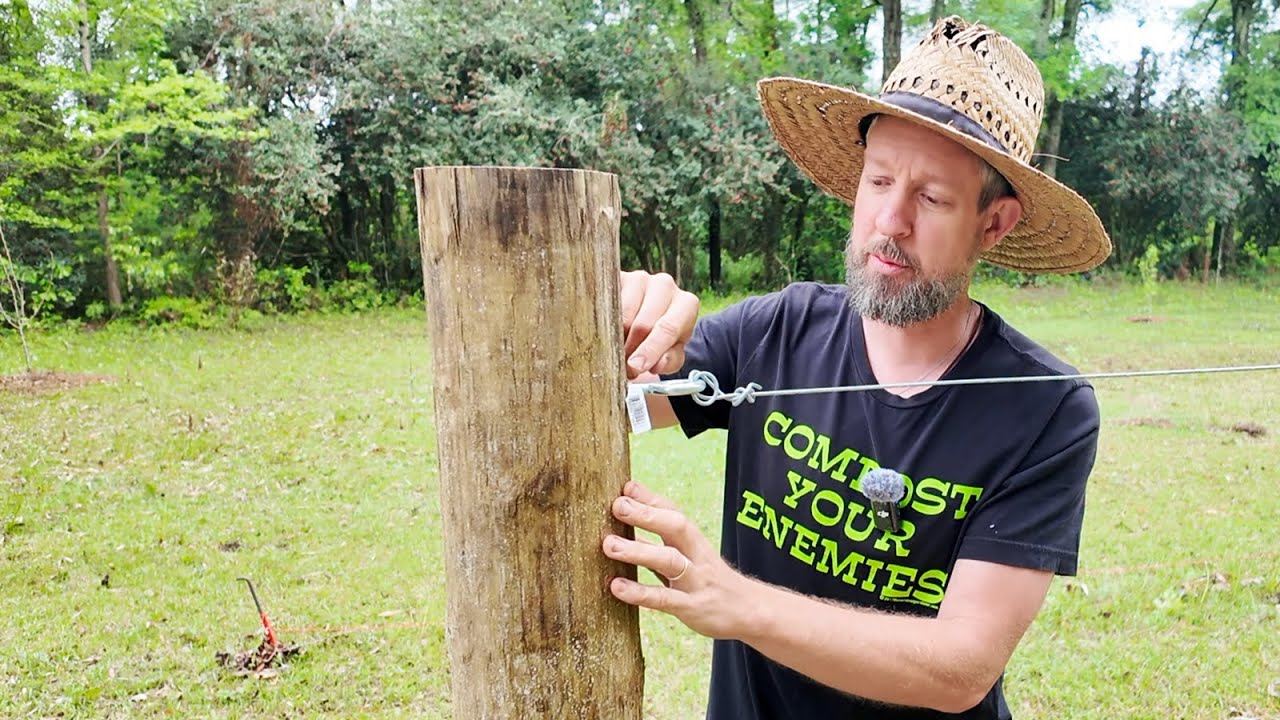 Single Wire Grape Trellis Dimensions, Setup and Tips for Muscadines ...