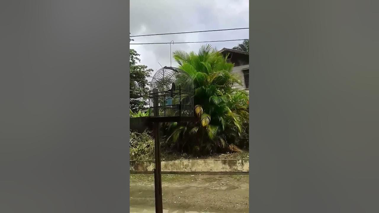 picolet aka slag - YouTube