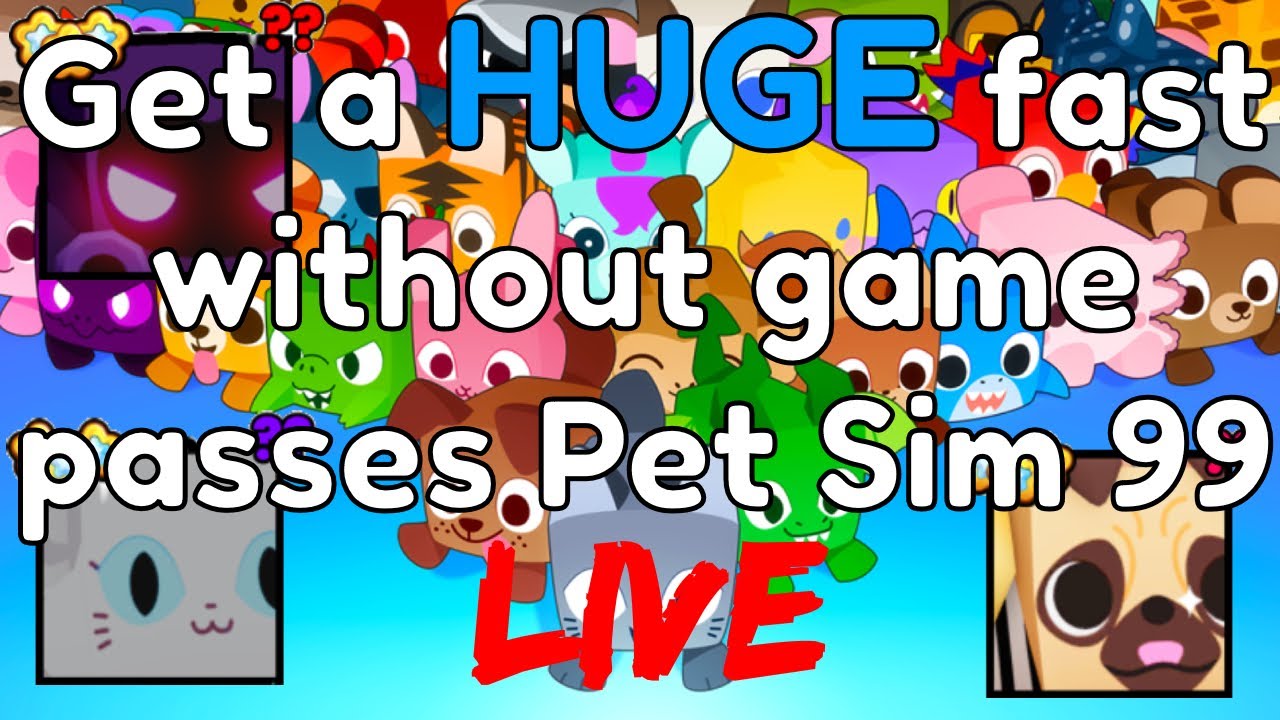 LIVE How To Get A HUGE In Pet Sim 99 Fast Day 1 (Roblox) - YouTube