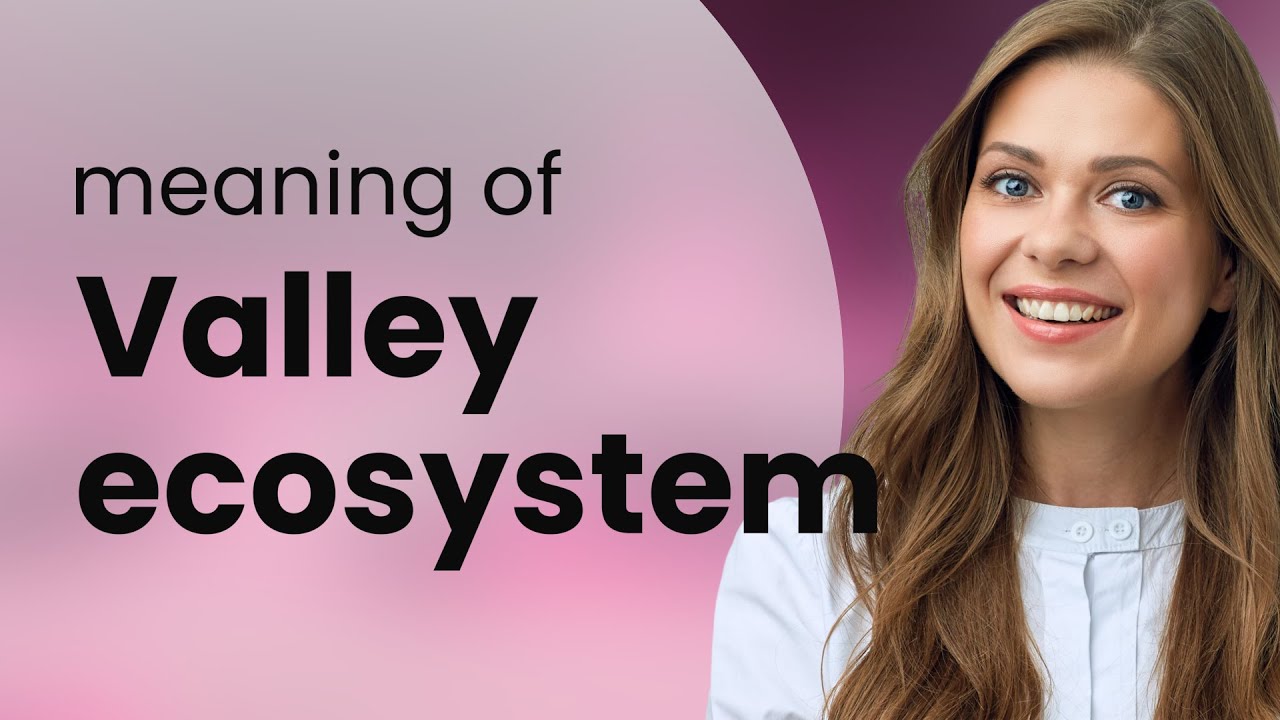 Understanding the "Valley Ecosystem": An English Learning Journey - YouTube