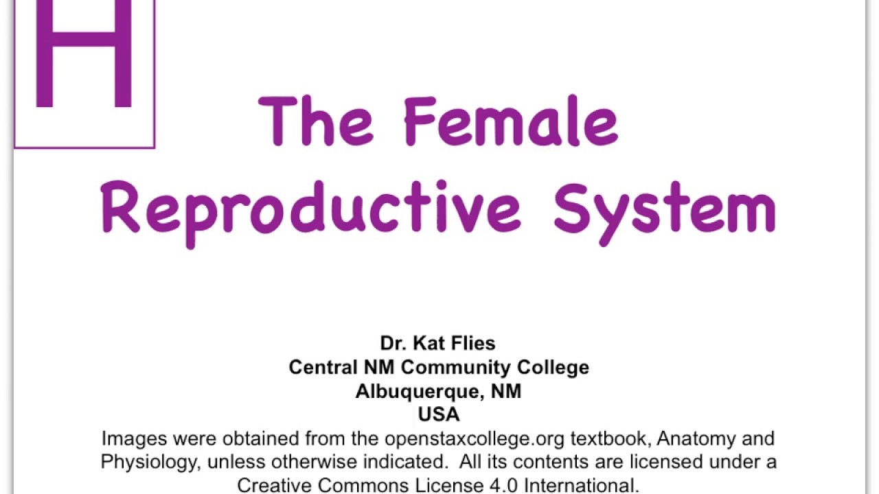 09H Female Reprod Menses Menopause - YouTube