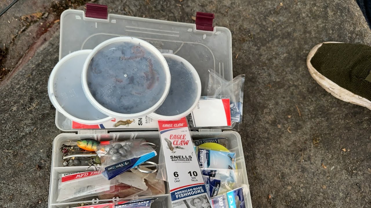 🚨Only Keeping Trophy Trout Over 15+ Inches!🚨 - YouTube