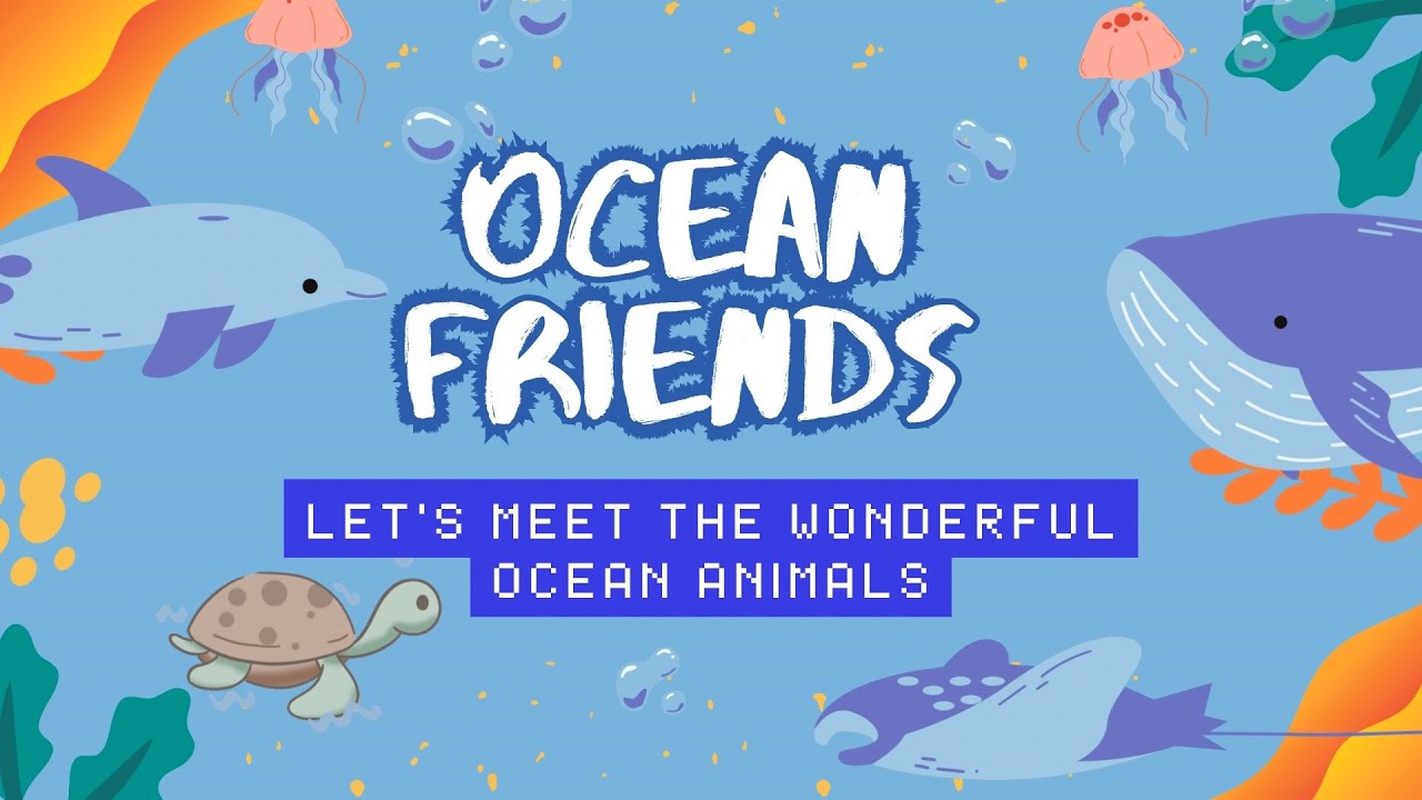LET'S MEET THE WONDERFUL OCEAN ANIMALS! 🌊🐠 | FUN LEARNING FOR KIDS ...