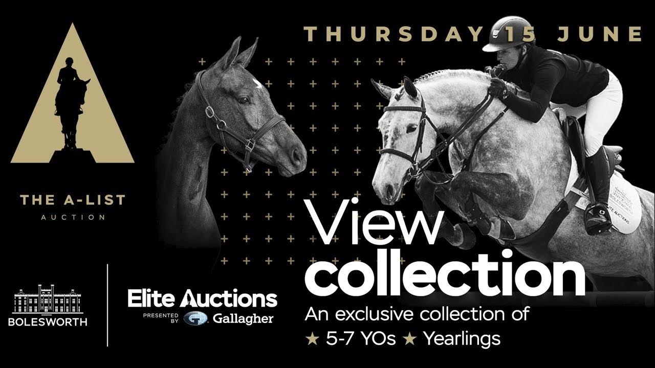 Bolesworth Elite Auctions | A-List Auction 2023 - YouTube
