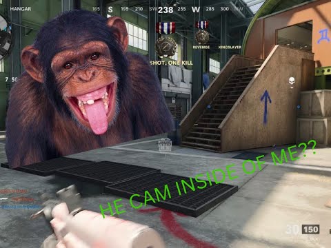 MONKEEEEEE!! - YouTube