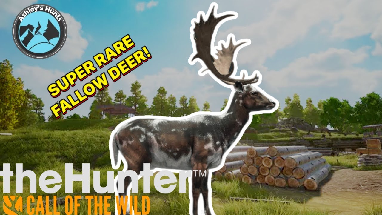 SUPER RARE FALLOW DEER!!!!- The Hunter call of the wild - YouTube