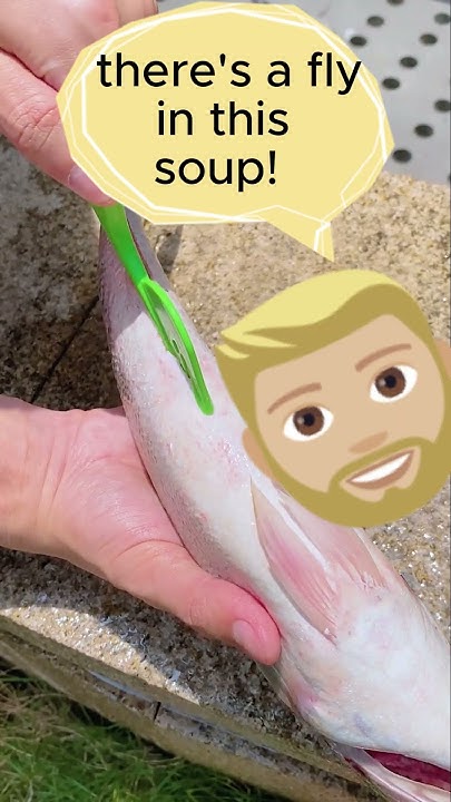 Waiter, there’s a fly in my soup! 🦟🍲 'Don’t worry, it won’t drink much ...