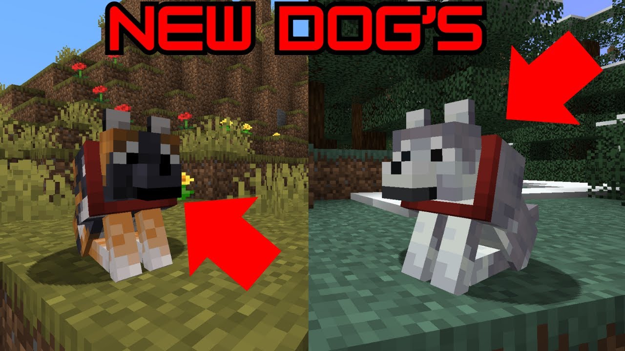 NEW DOGS IN MINECRAFT!!!! - YouTube