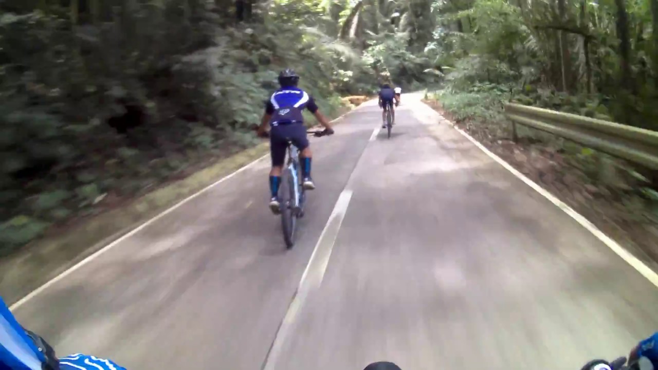 Mt. Makiling Trail Downhill - Agila Base to UP Los Baños Mt. Makiling ...