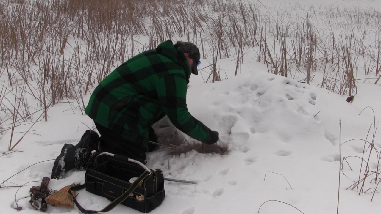 setting on the ice for predators - YouTube
