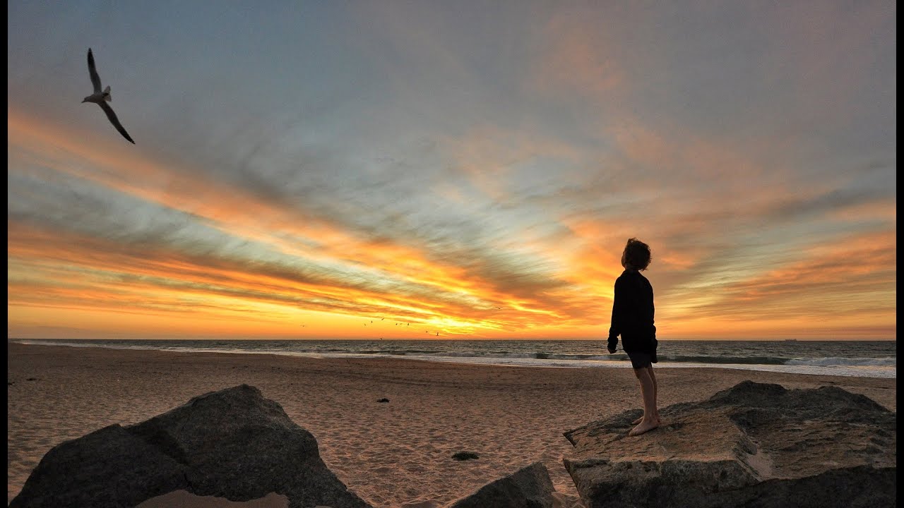 Echoes Cover - YouTube