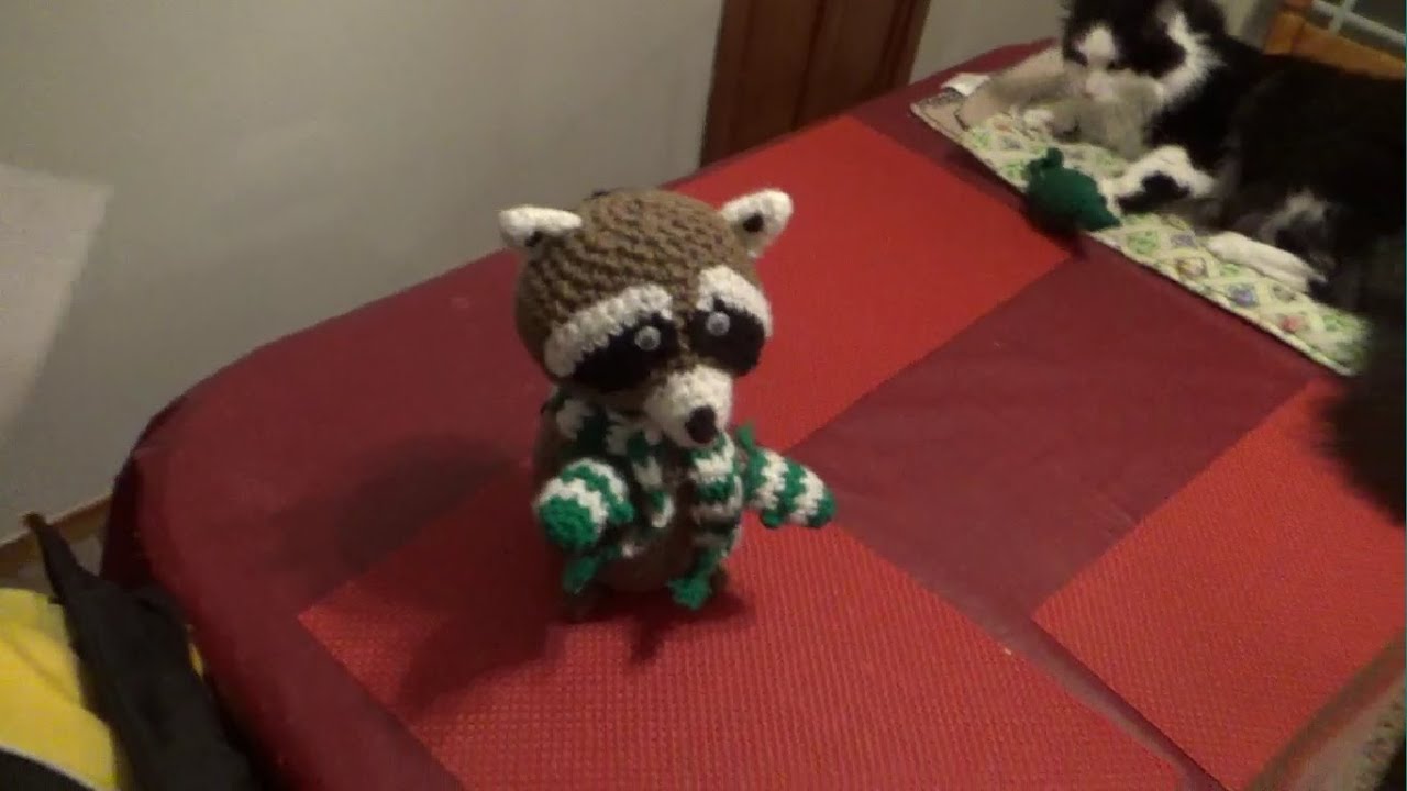 Wednesday Returning Raccoons after cold snap - YouTube