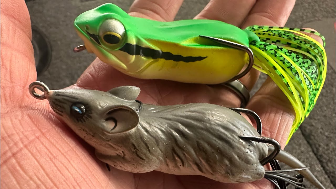 Have Topwater Frogs Stopped Catching Bass? - YouTube