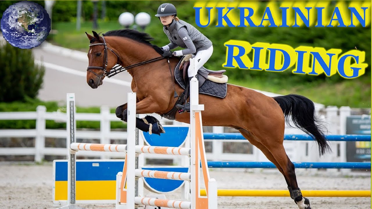 TOP Beautiful Ukrainian Riding Horse in the World! - YouTube