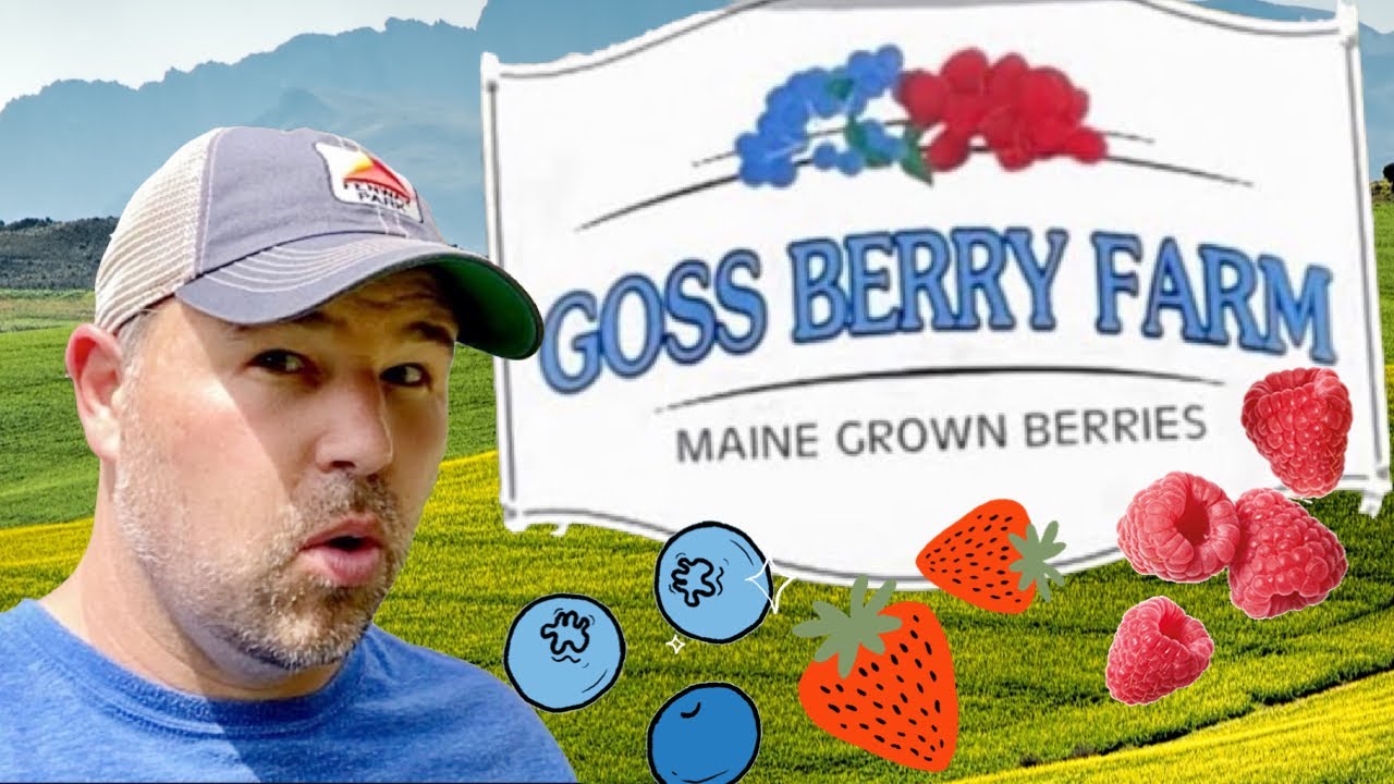 LEARN ENGLISH VOCABULARY AT A BERRY FARM - YouTube