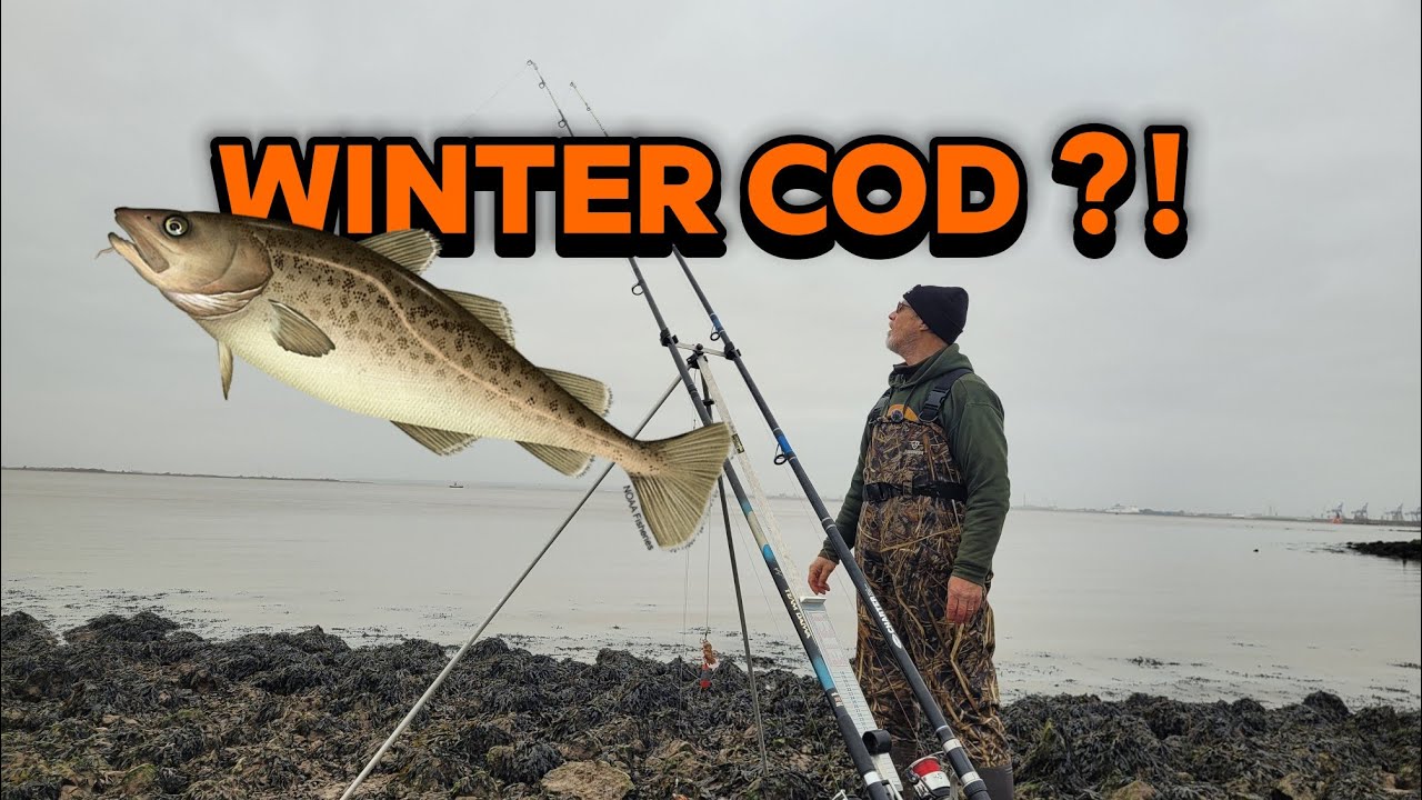 "Winter Cod Fishing", / Paull Lighthouse Cranch, #codfishing ...