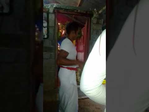 kadavara pujava