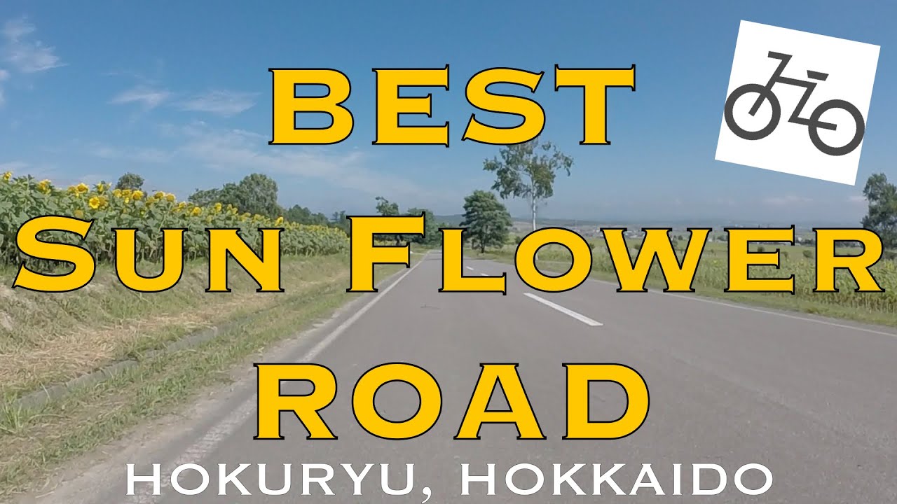 Best "Sun Flower Road" in HOKKAIDO【CYCLING JAPAN】 - YouTube