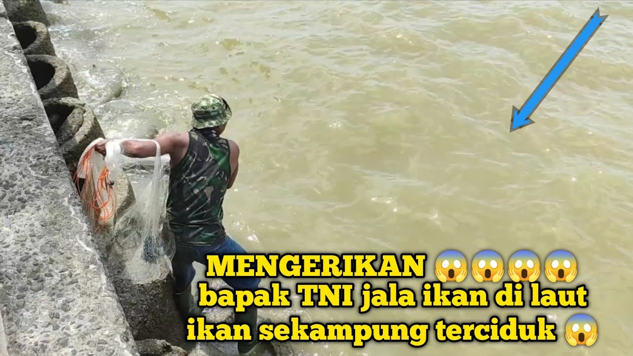 NGERI banget😱bapak TNI jala ikan di laut dapat ikan sekampung 😱 Nets ...
