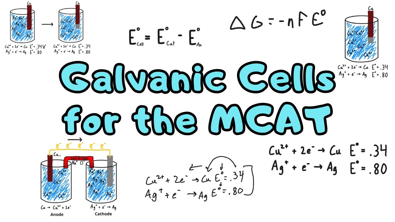 Galvanic Cells Explained | What You Need to Know for the MCAT - YouTube