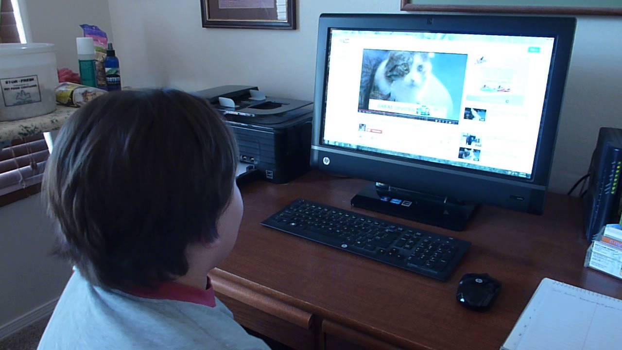 Paris Luttrell vs Lucy The Talking Cat 001 - YouTube