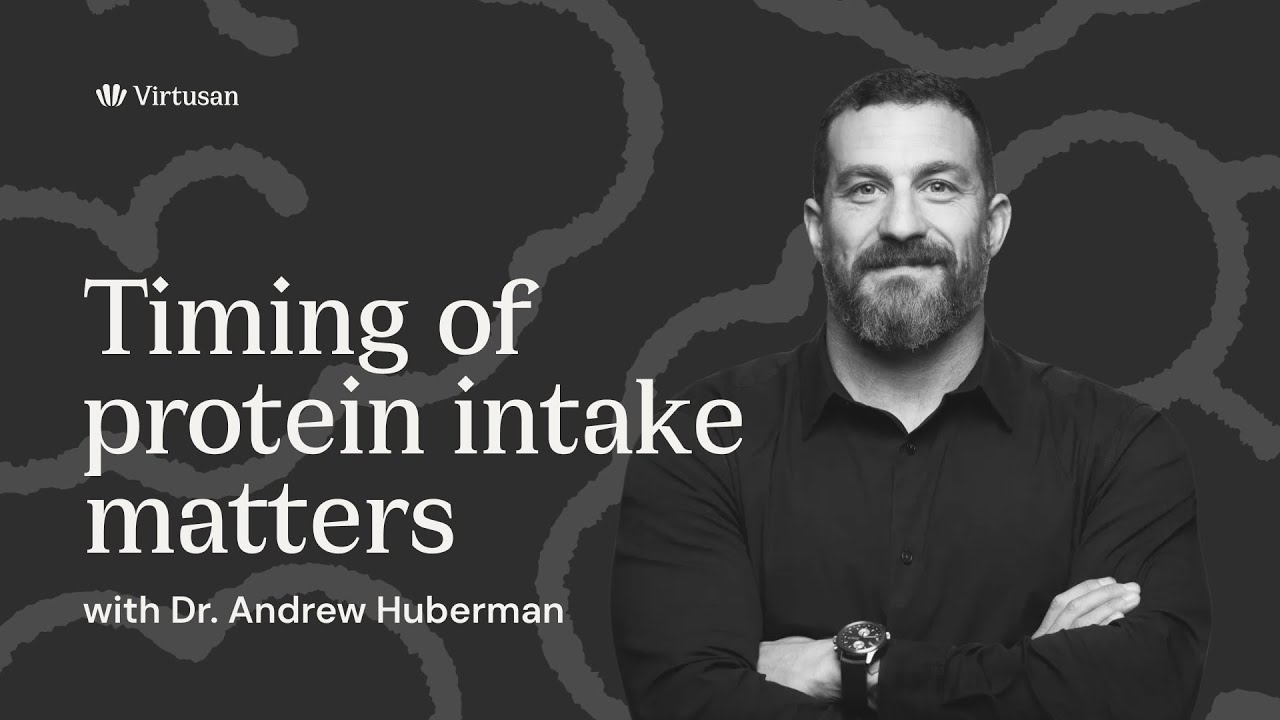 The Timing of Protein Matters! Dr. Andrew Huberman #animated - YouTube