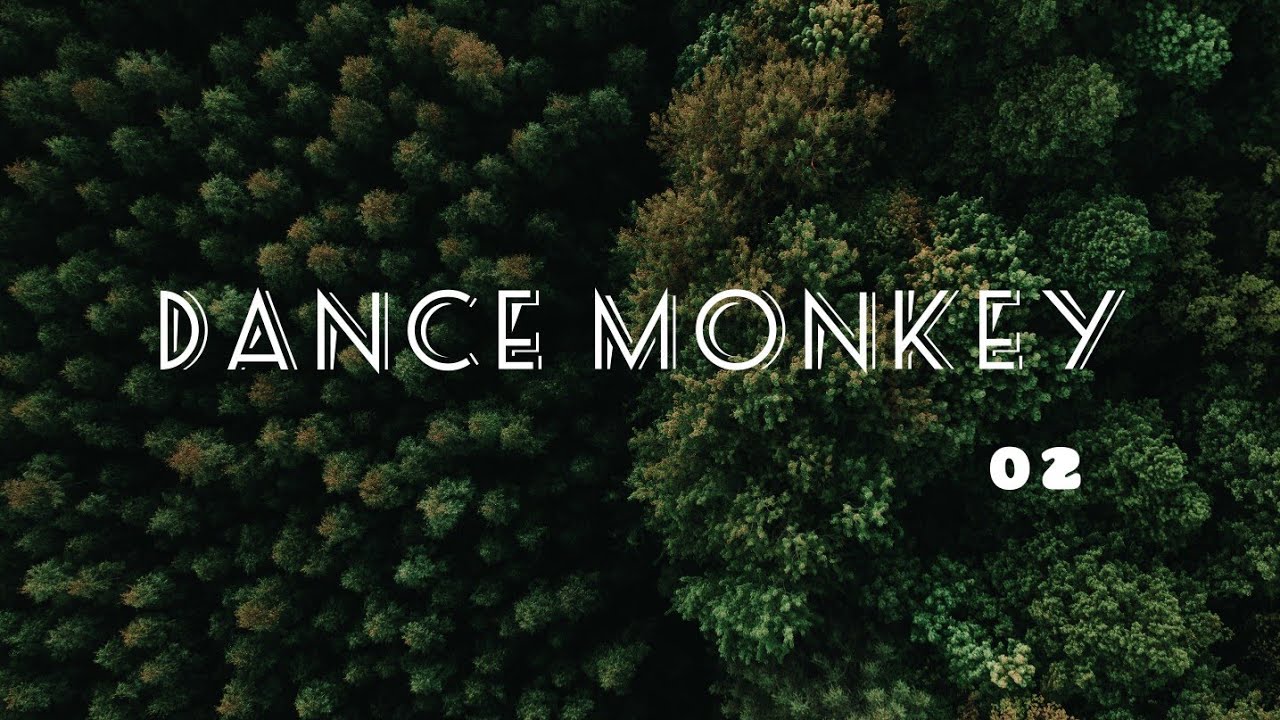 #Dancemonkey #TonesAnd1 #Lyrics Tones and 1- Dance Monkey (Lyrics ...