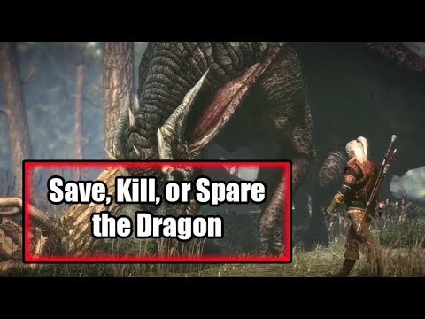 All Dragon Boss Fight Outcomes / Kill, Spare, and Save - The Witcher 2