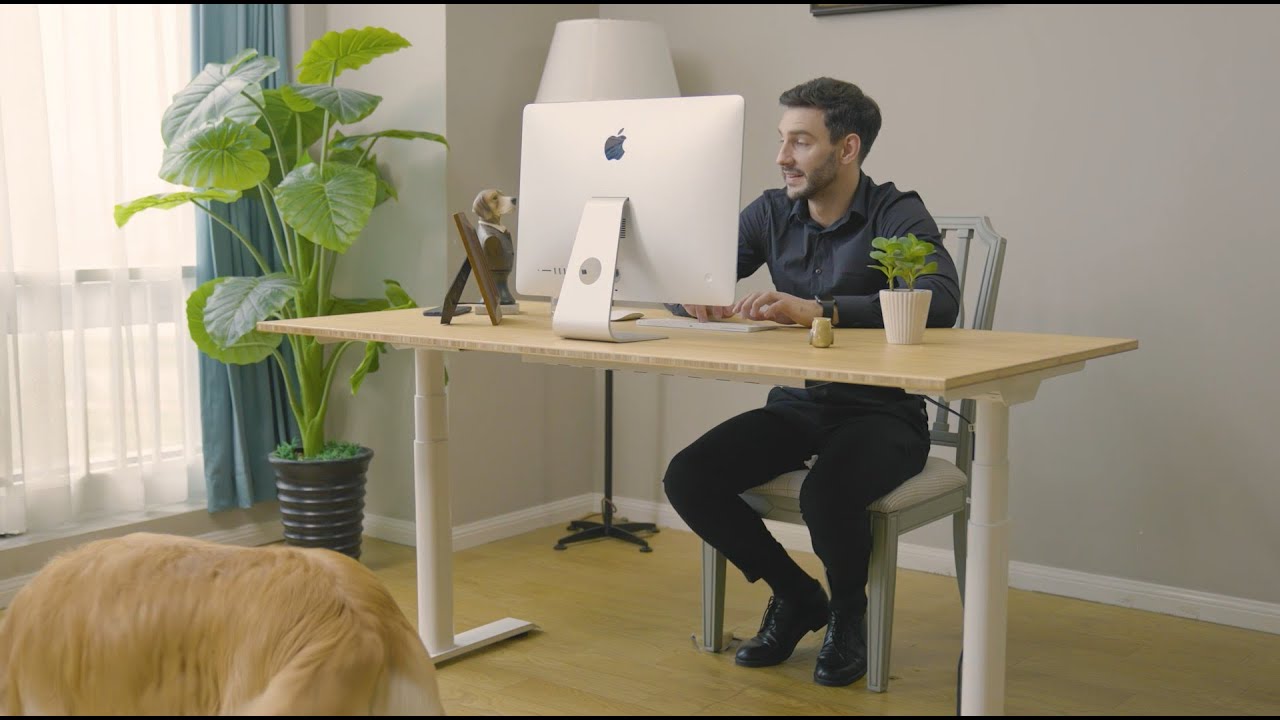 FlexiSpot l Standing desk E8 con el tablero de bambú. - YouTube