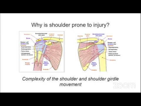 5 Strategies for Successful Shoulder Rehab - Webinar - YouTube