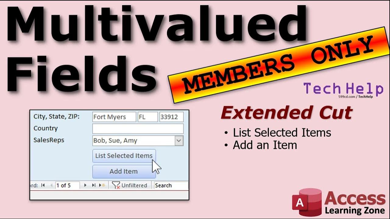 Microsoft Access Multivalued Fields EXTENDED CUT MEMBERS ONLY Read, Add Selections w VBA ...