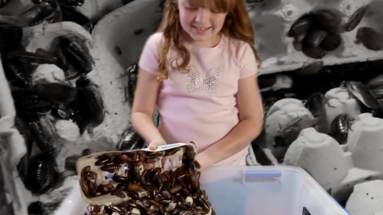 GIRL HAS 1000 COCKROACHES - YouTube