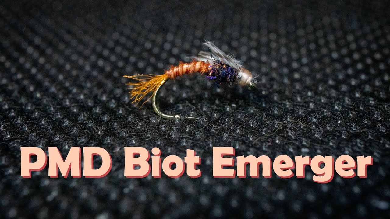 PMD Biot Emerger - John Barr Style Mayfly Emerger - YouTube