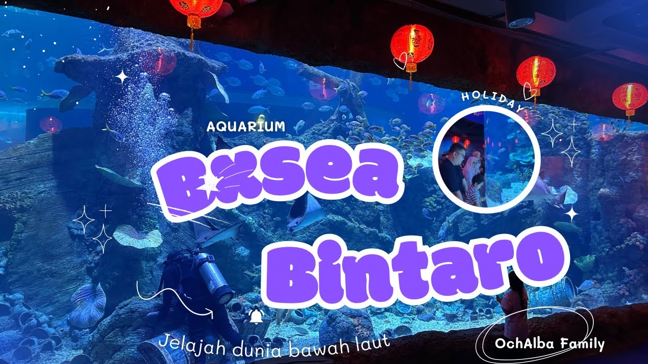 Menjelajahi Aquarium terbesar di Tangerang - Bxsea Bintaro - YouTube