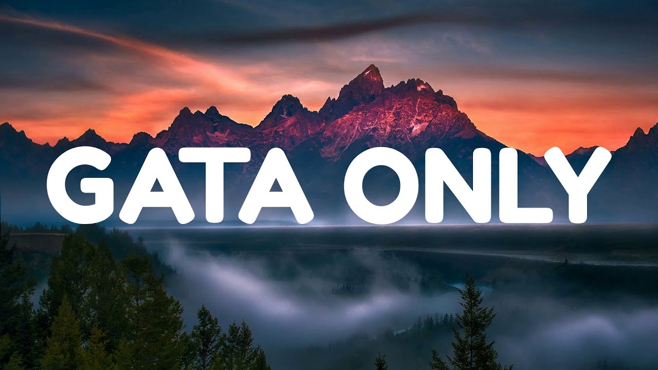 Gata Only Remix - FloyyMenor, Ozuna, Anitta (Letra/Lyrics) - YouTube