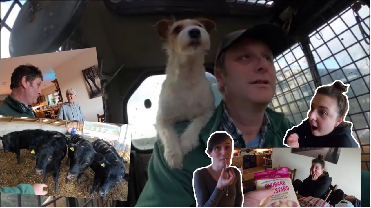 FRIDAY FUN ON THE FARM. 26 02 21 - YouTube